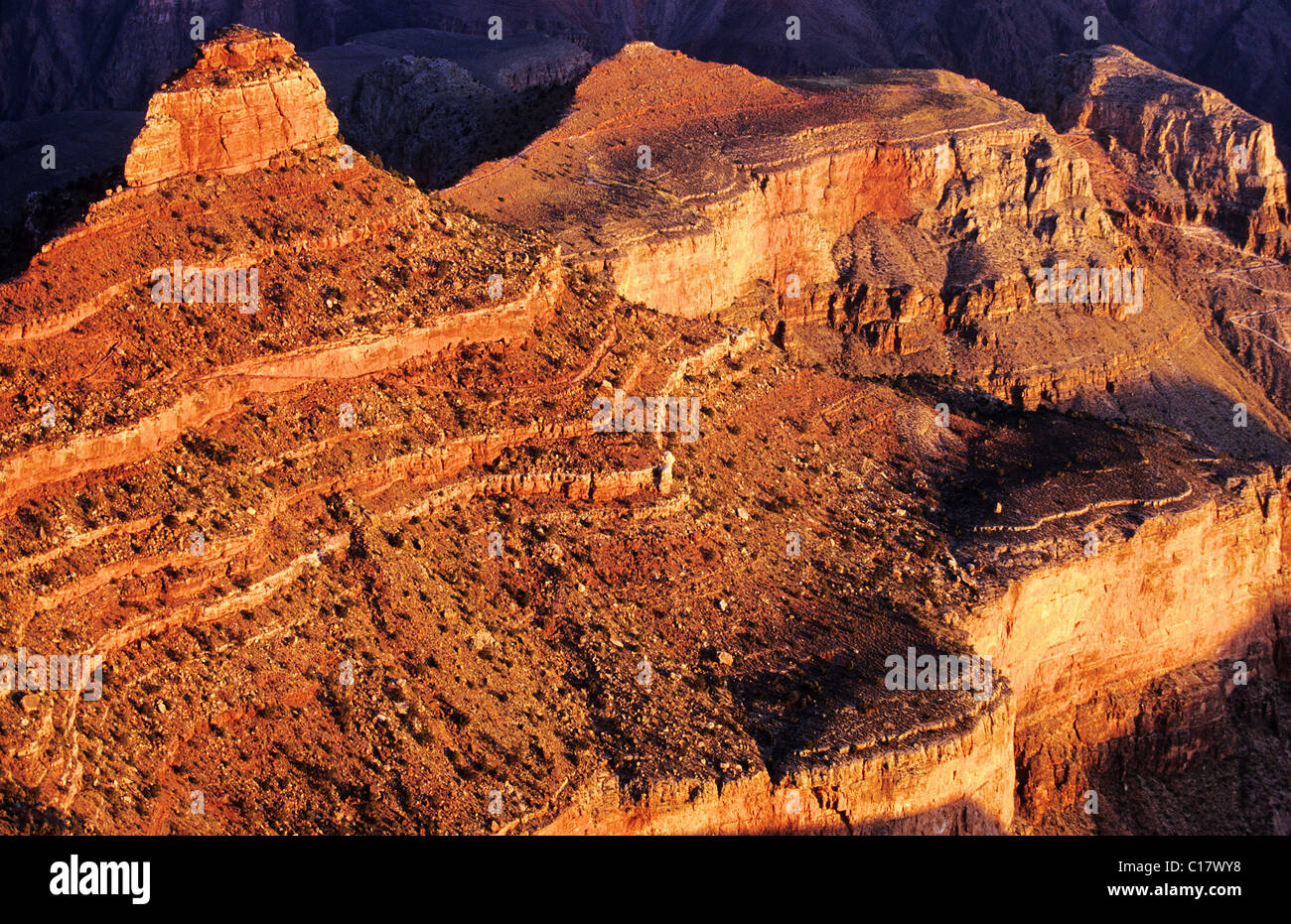 United States, Arizona, Grand Canyon Stock Photo - Alamy