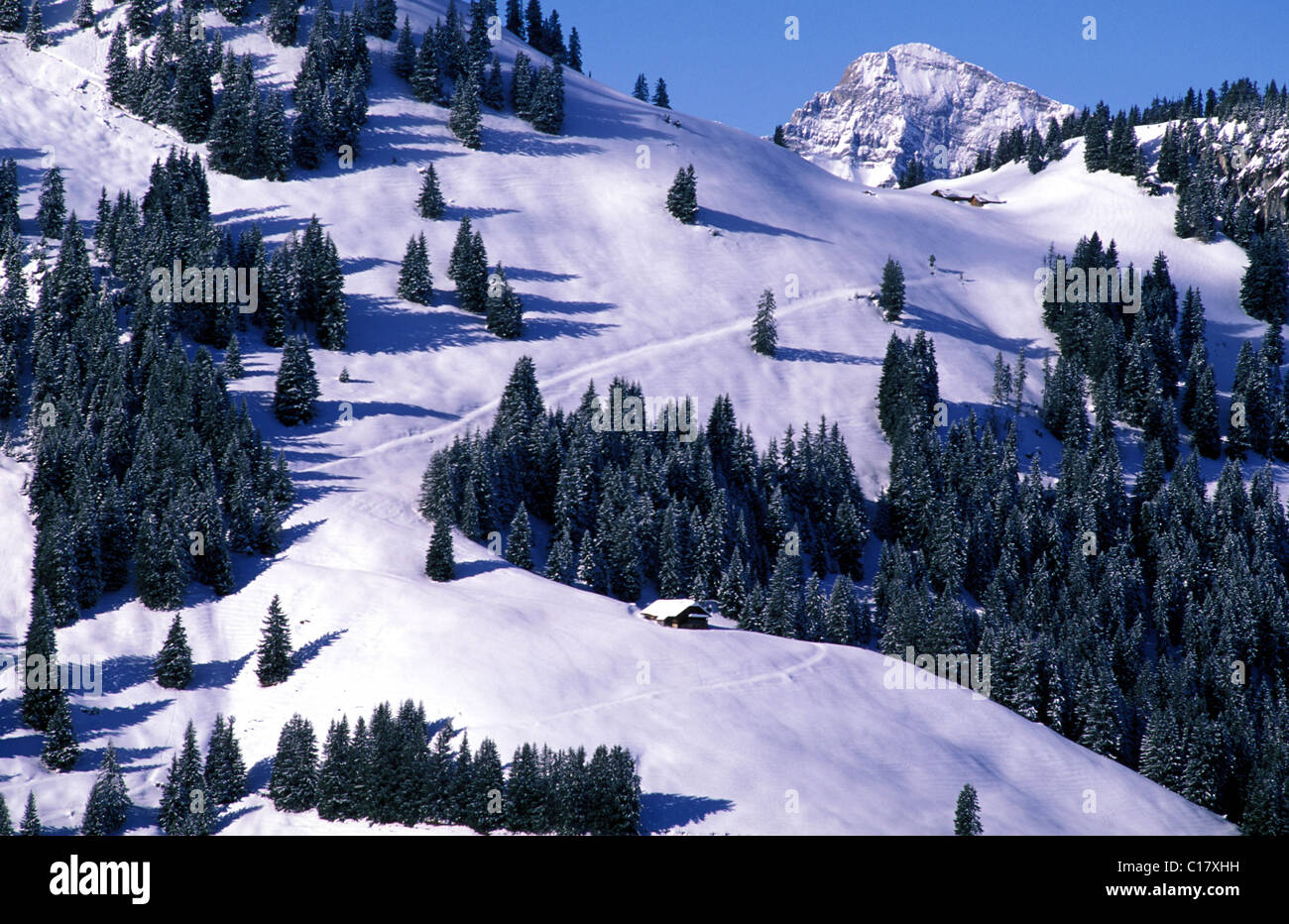 Switzerland, region of Bern (Bernese Oberland), Saanenland, ski run in ...