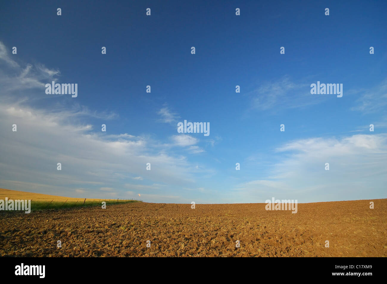 afternoon field in a farming area Stock Photo - Alamy