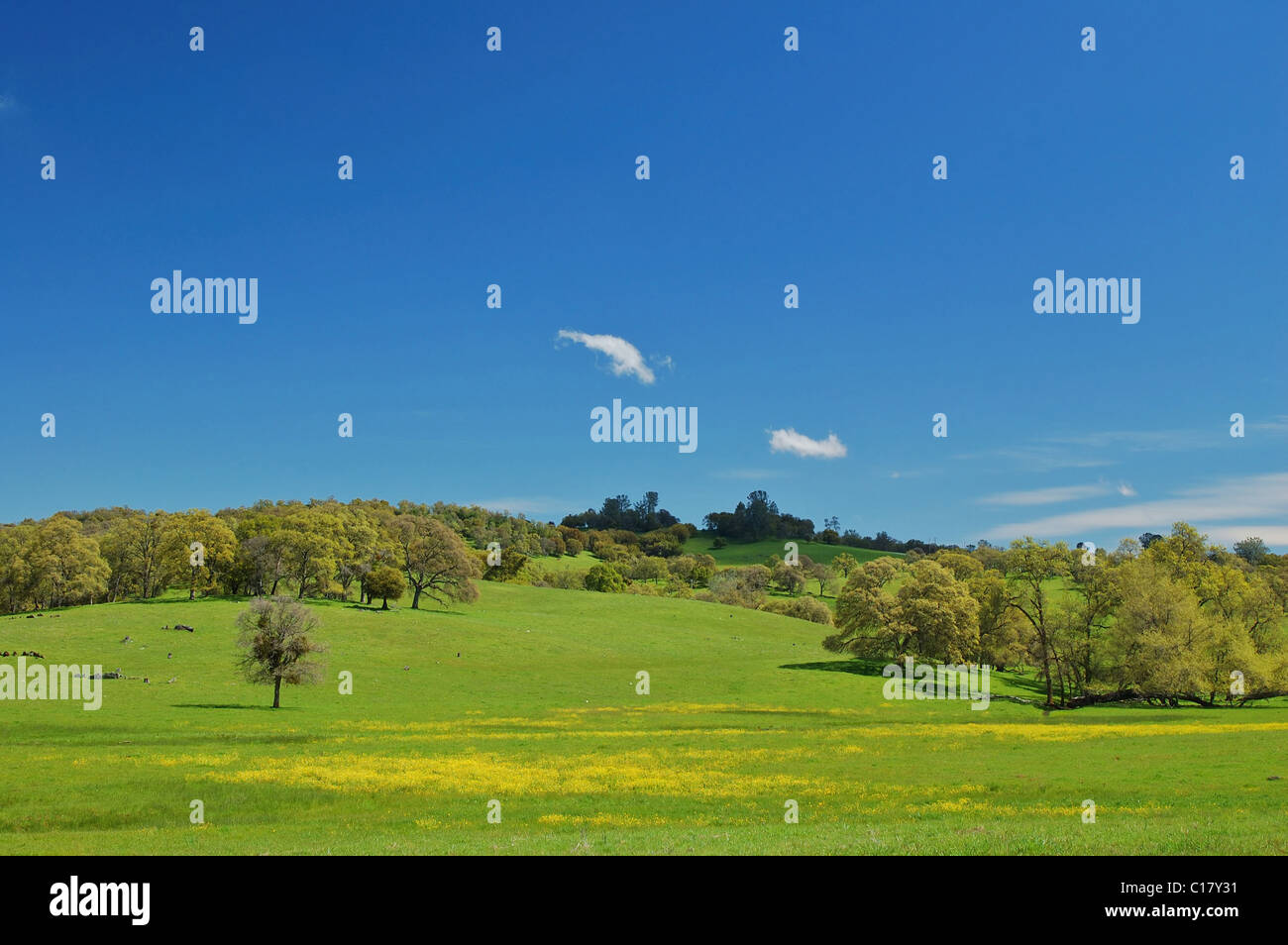 the countryside of northern California in springtime Stock Photo - Alamy