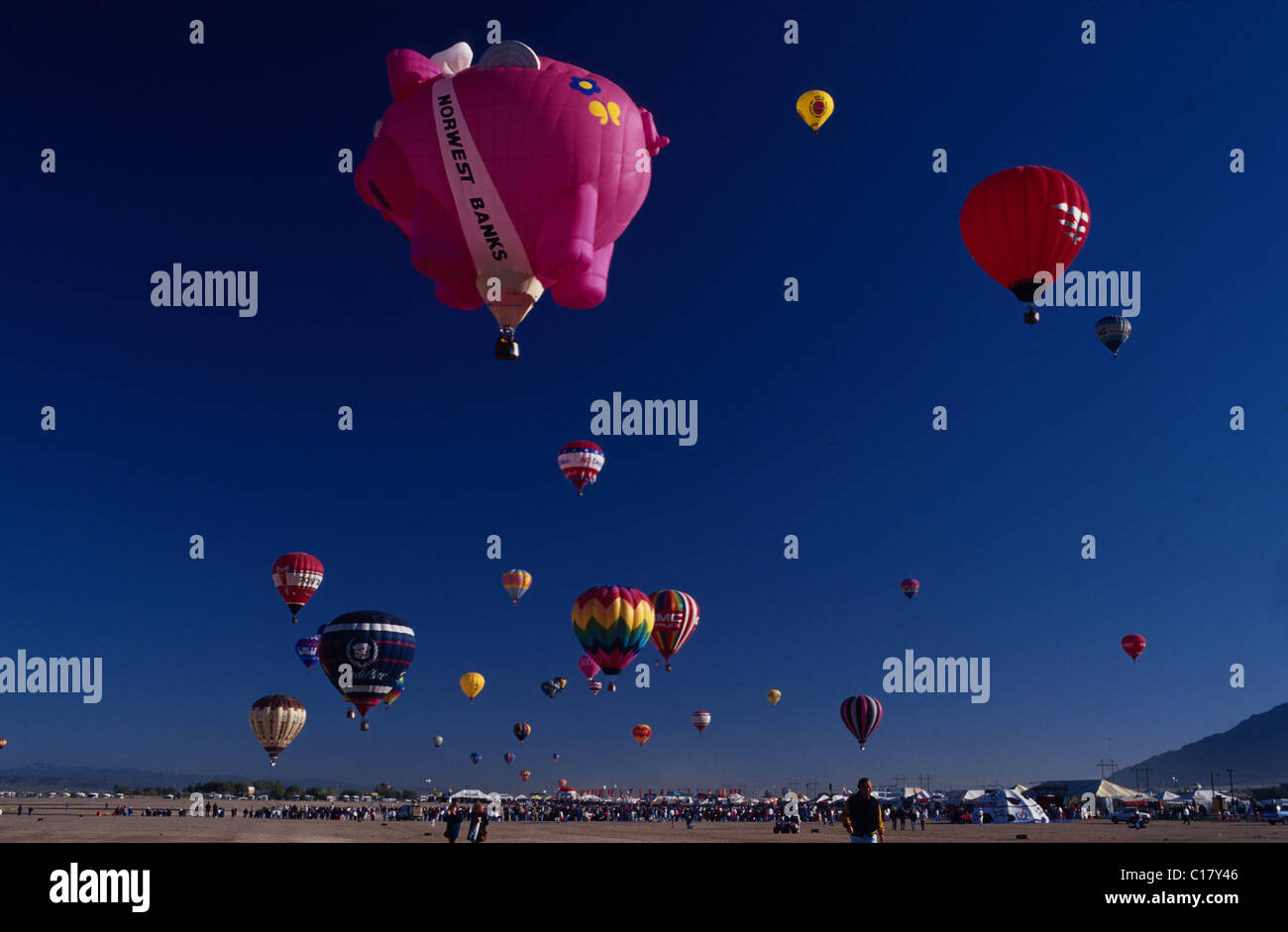United States, New Mexico, Albuquerque, hot-air balloons gathering ...