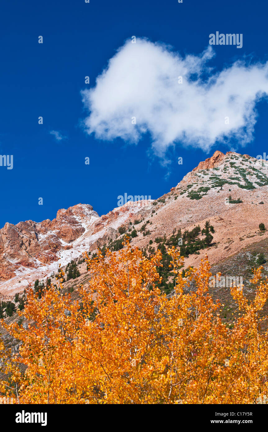 Fall color and early snow above North Lake, Inyo National Forest ...
