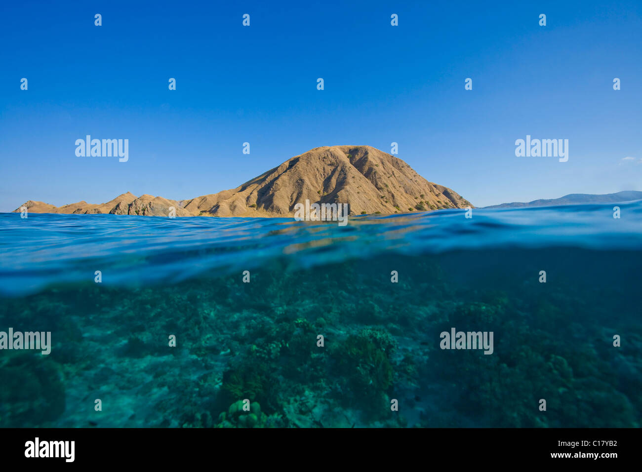 Lesser sunda islands hi-res stock photography and images - Alamy