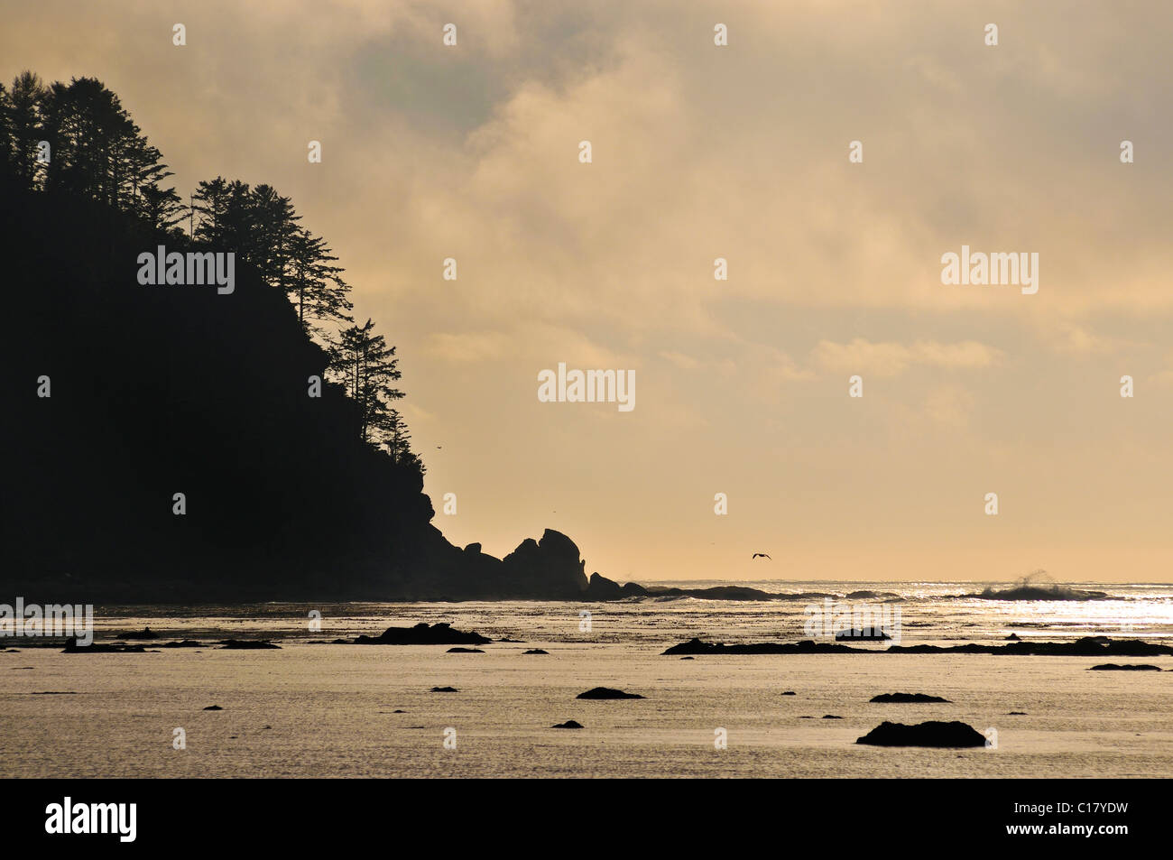 Coast at Sand Point, Olympic National Park, Washington, USA, North ...