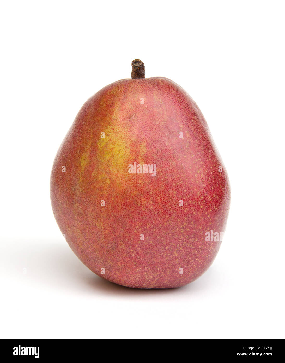 Red D'Anjou Pear on a white background Stock Photo - Alamy