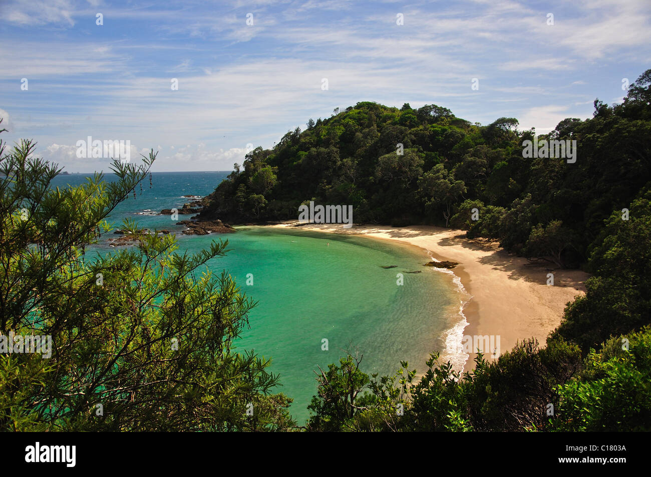 Whale Bay, Tutukaka Coast, Northland Region, North Island, New Zealand ...
