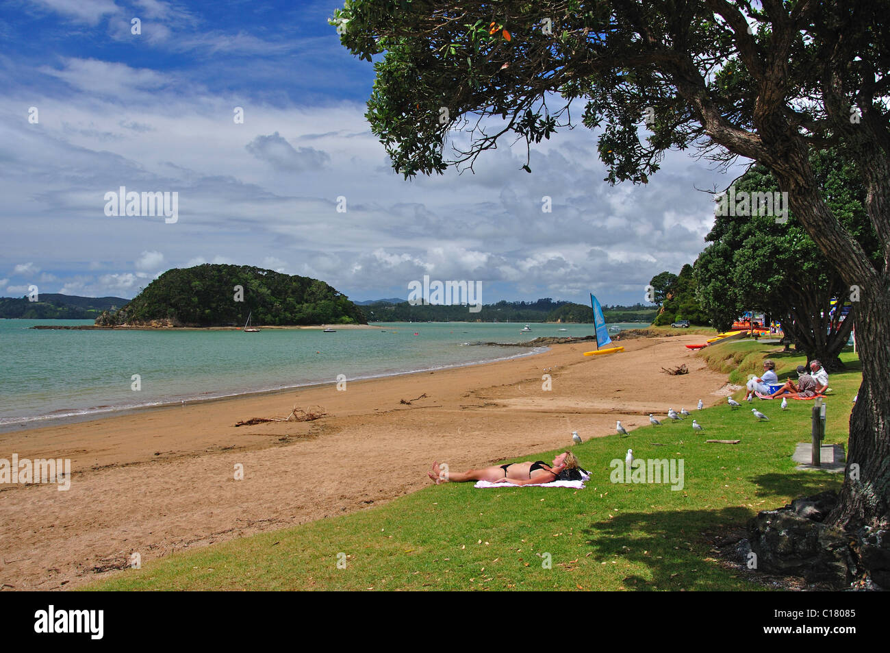 Beach and foreshore, Paihia, Bay of Islands, Northland Region, North ...