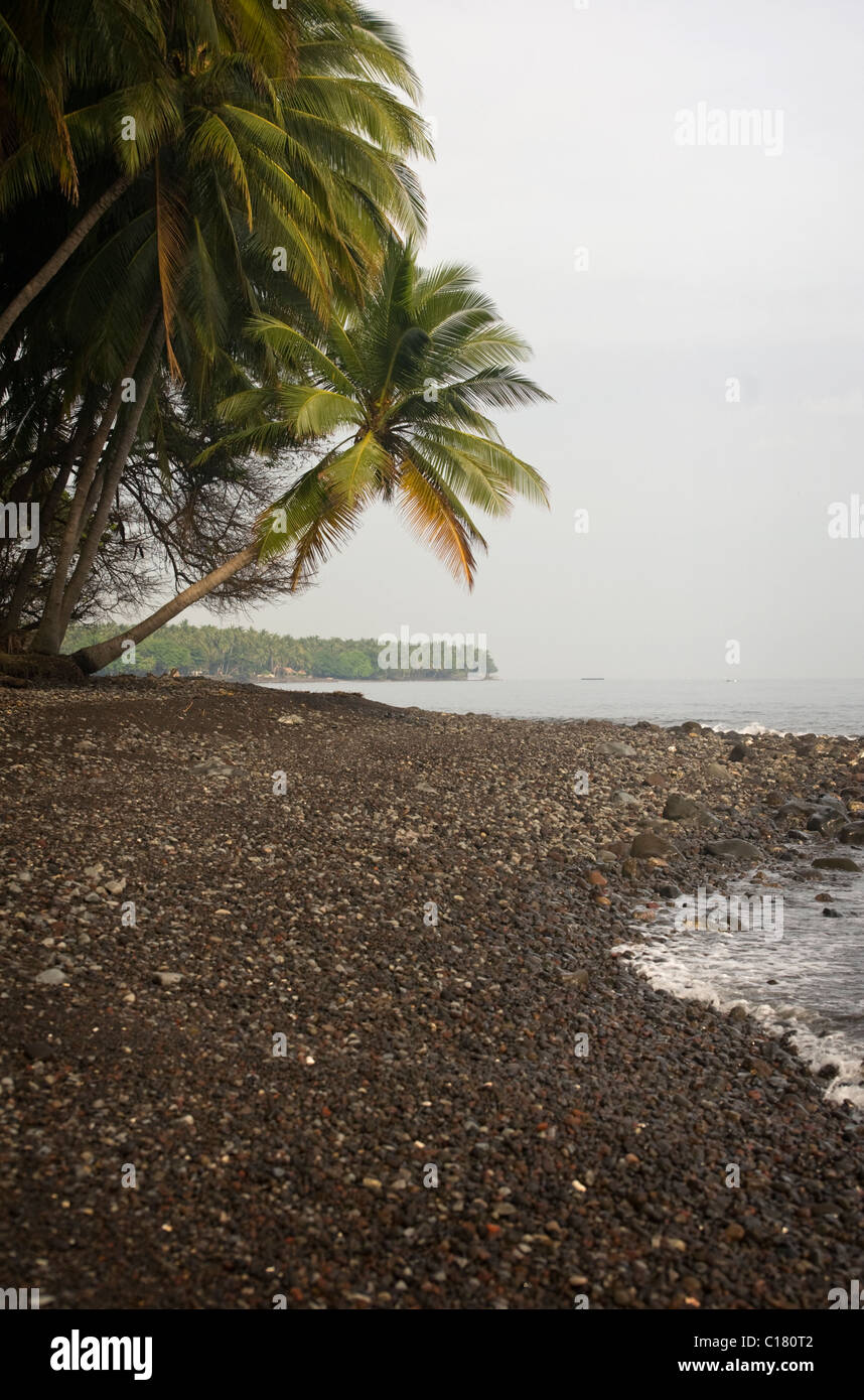 The classic tropical scene from Tembok, Bali, Indonesia. Palm trees and ...