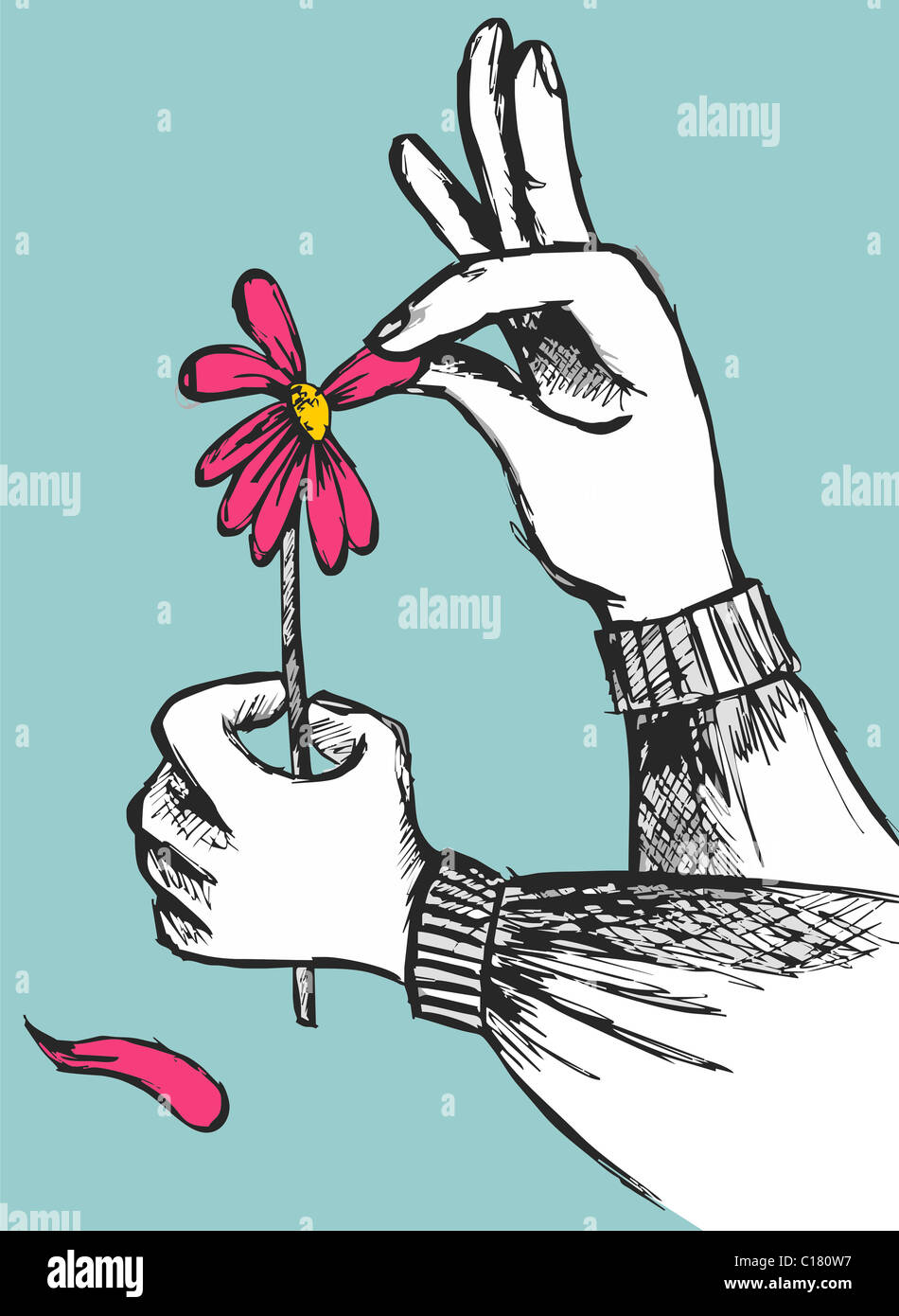 Hands plucking off the petals of a red flower on sky blue background ...