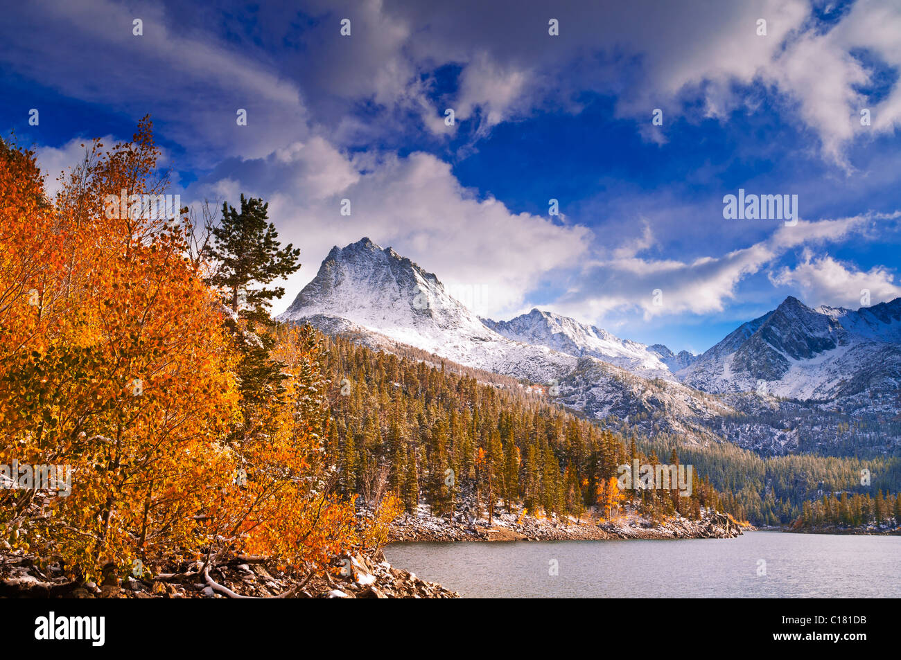 Fall aspens under Sierra peaks from South Lake, Inyo National Forest ...