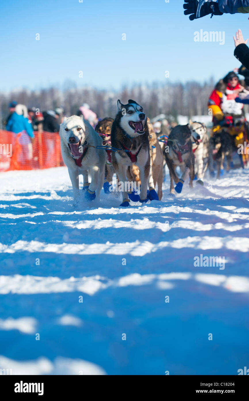 MITCH SEAVEY HEADING TO NOME Stock Photo - Alamy