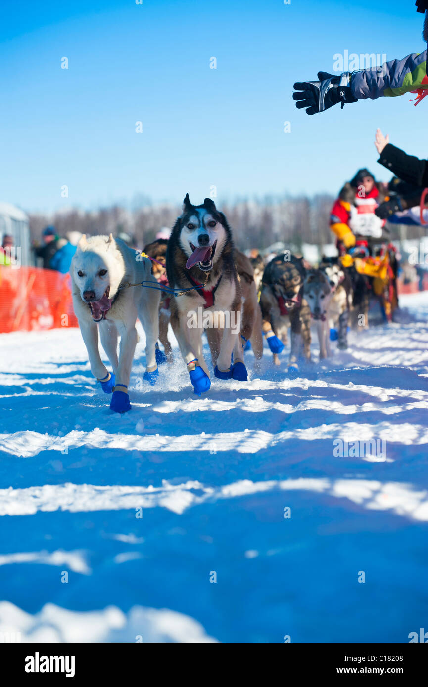 MITCH SEAVEY HEADING TO NOME Stock Photo - Alamy