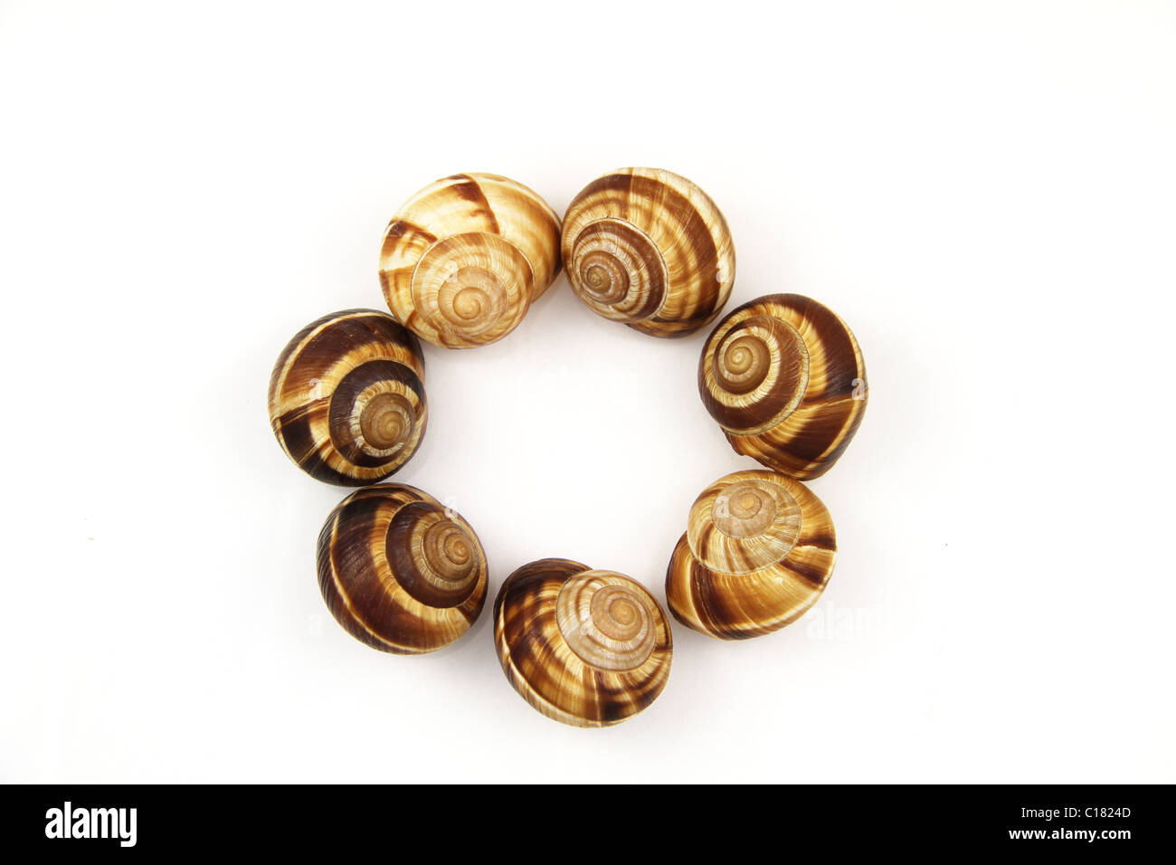 Slow circle hi-res stock photography and images - Alamy