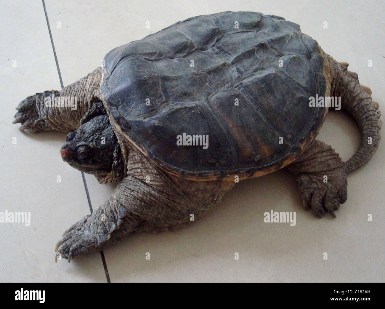 Odd explain hi-res stock photography and images - Alamy