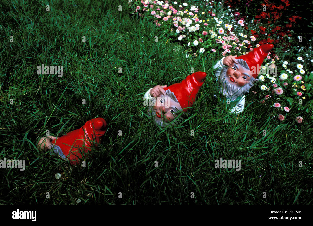 Garden dwarfs hi-res stock photography and images - Alamy