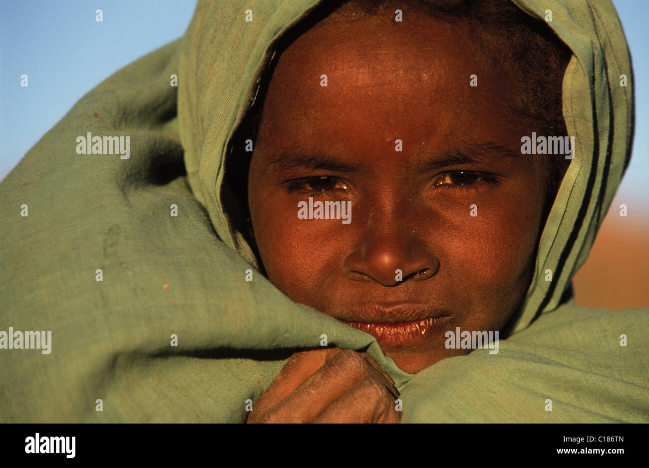 Niger, Sahara, the oasis of Timia in the mountainous massif of Air ...