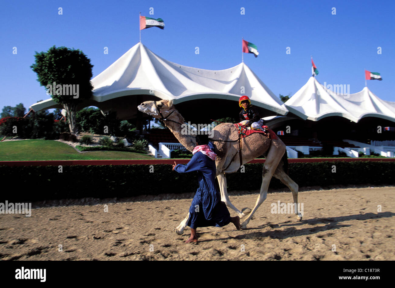 Dubai children camel hi-res stock photography and images - Alamy
