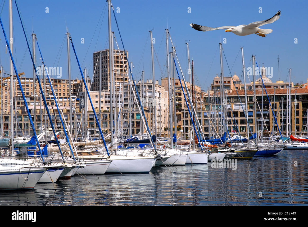 Port of Marseille ,or Marseilles, with a seagull in flight in ...