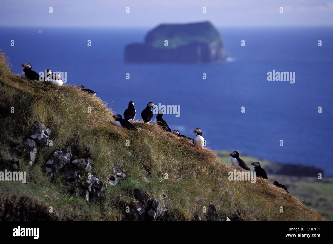Island, Sudurland Region, Vestmannaeyjar (Westman Islands), Heimaey ...
