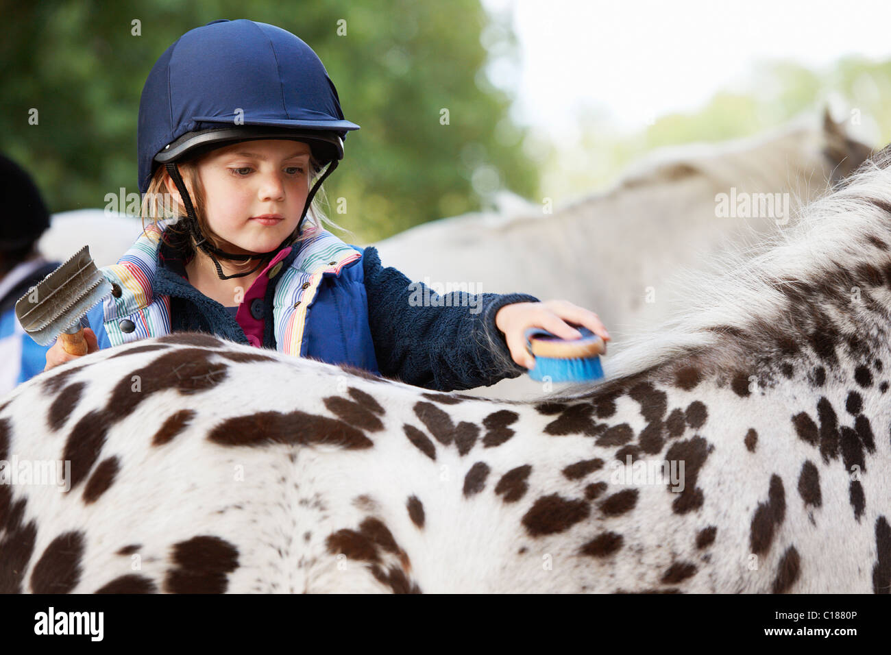 Young girl grooming her pony Stock Photo - Alamy