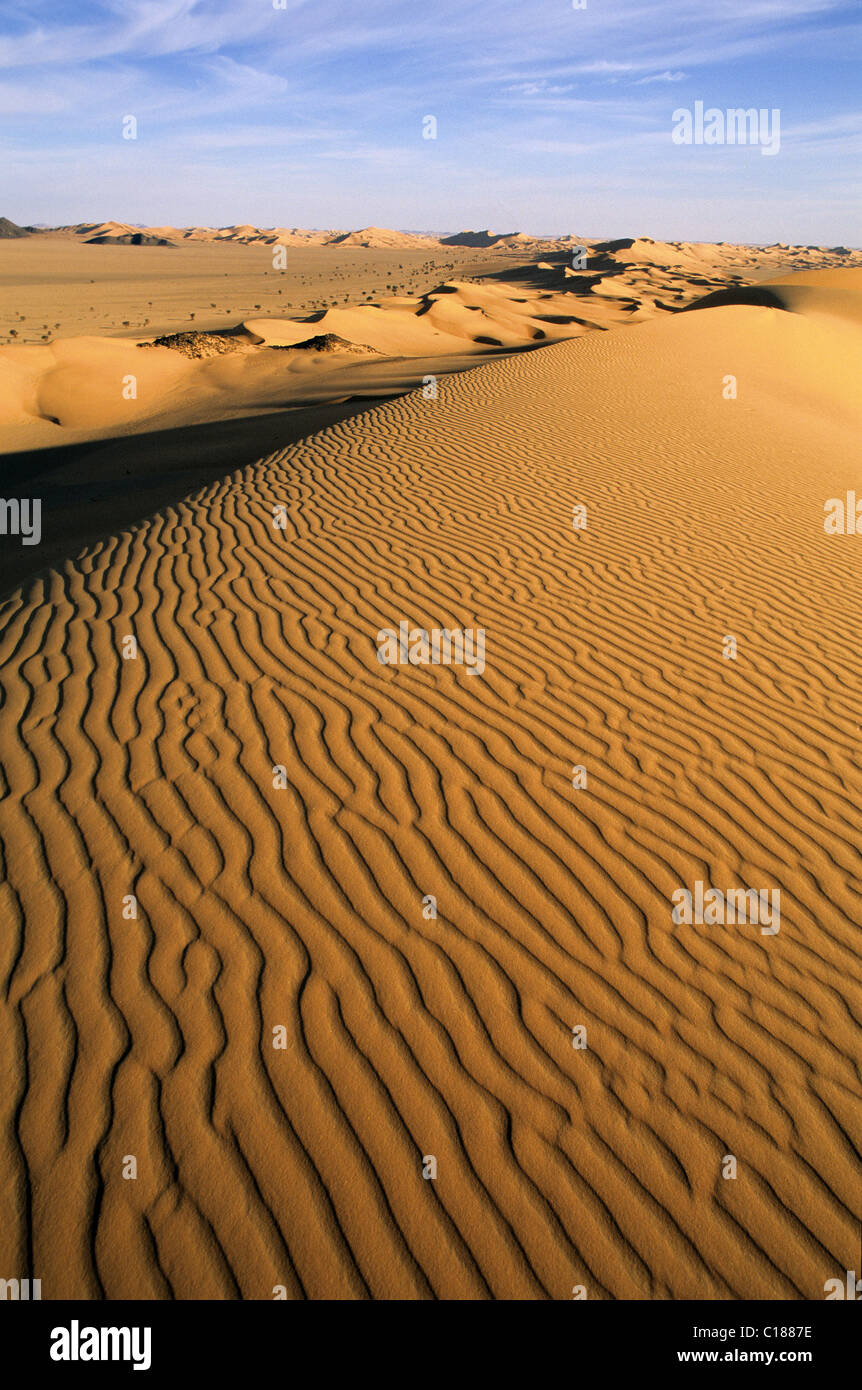 Niger, Sahara, the approach of the first sand dunes of Tenere Stock ...