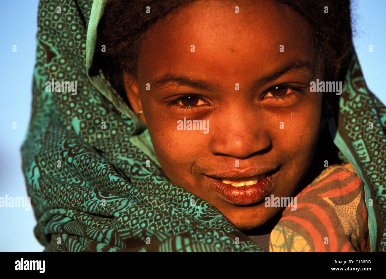 Niger, Sahara, the oasis of Timia in the mountainous massif of Air ...