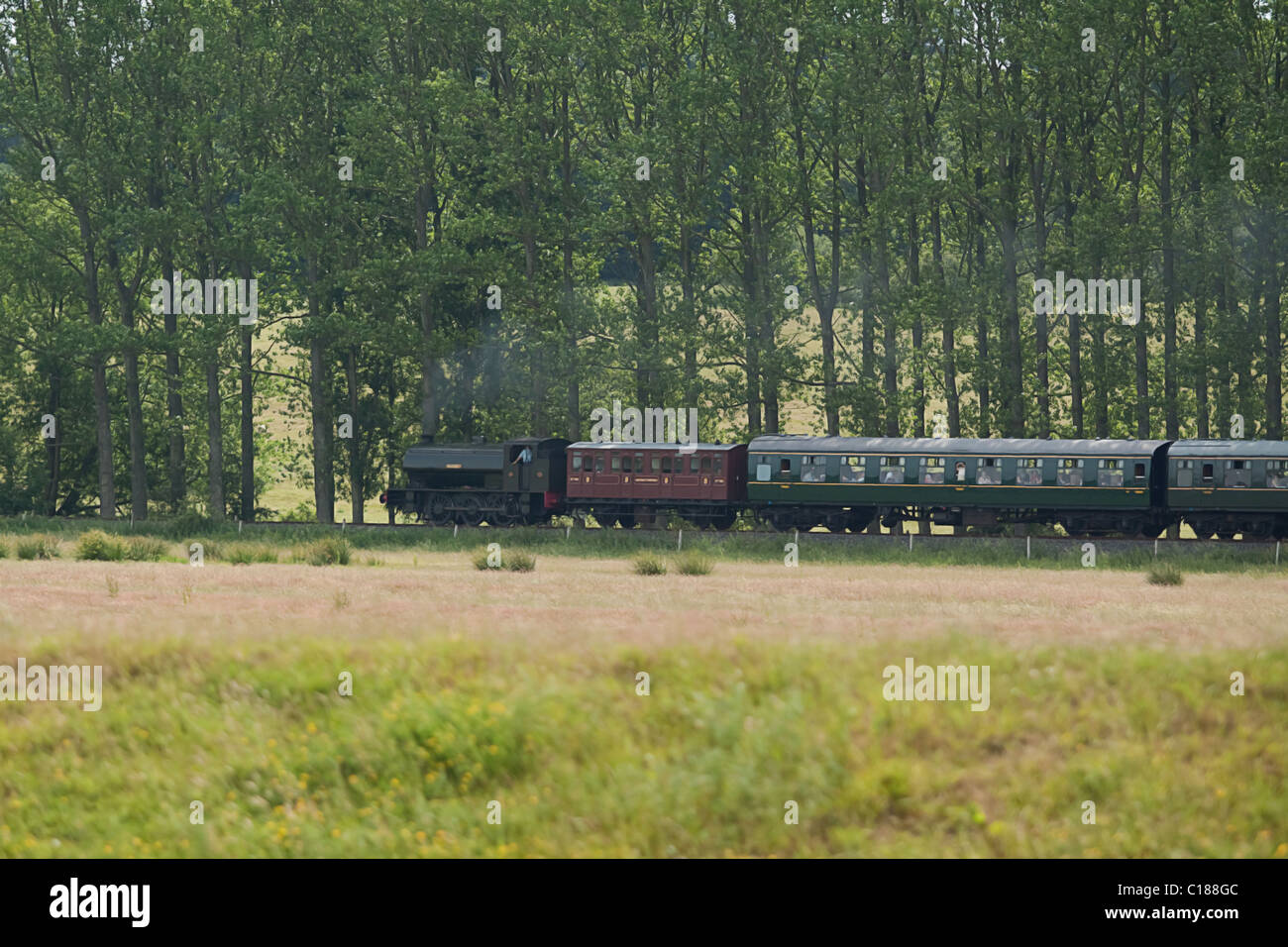 Tank loco on branch line Stock Photo - Alamy