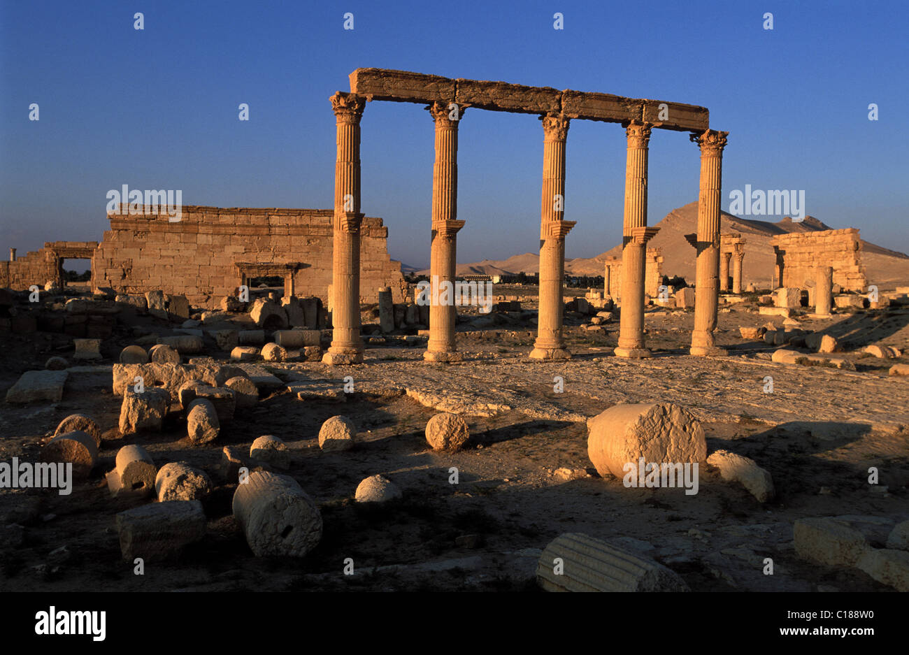 Syria, Palmyra, the Great Colonnade Stock Photo - Alamy