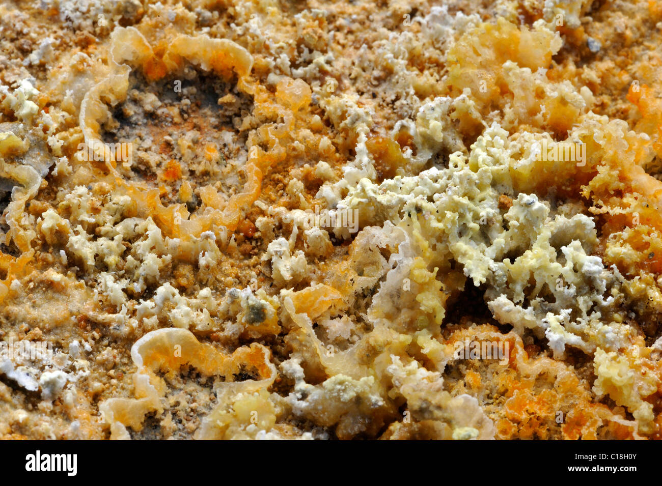 Sulfur fumaroles, sulfureous crystals, solfatara at Crater Lake Víti ...