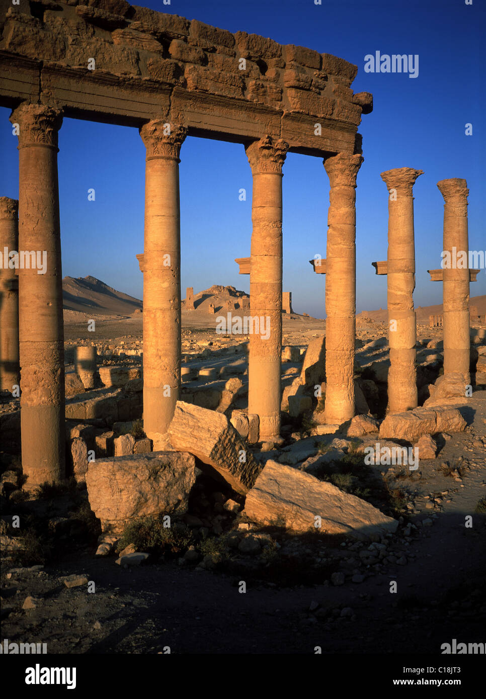 Syria, Palmyra, the Great Colonnade Stock Photo - Alamy