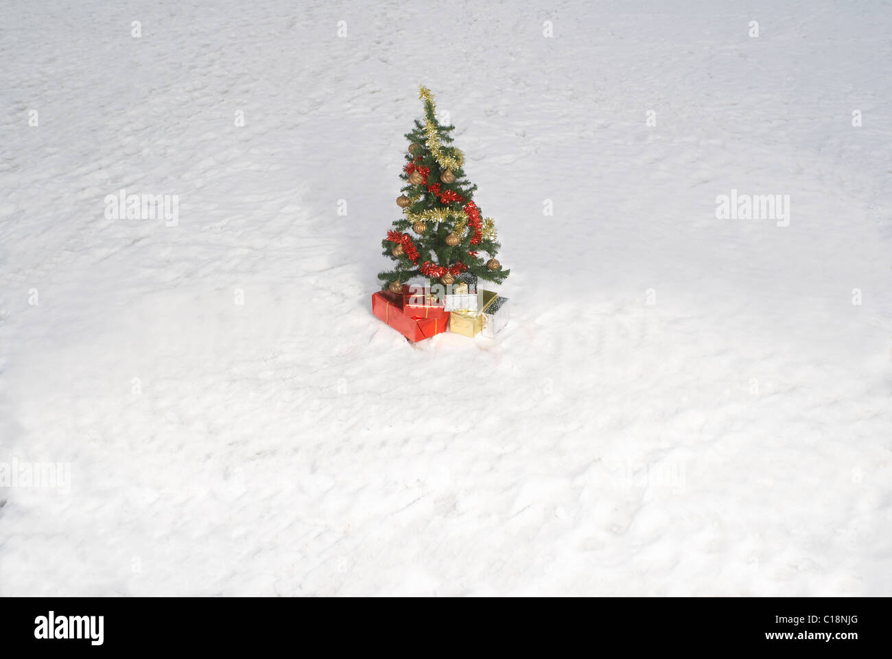 Small christmas tree in snow hi-res stock photography and images - Alamy