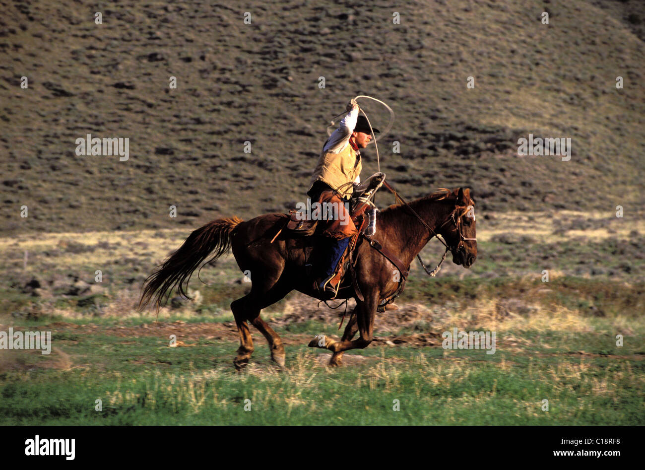 United States, Wyoming, Cody, Double Diamond X Ranch, a wrangler in ...