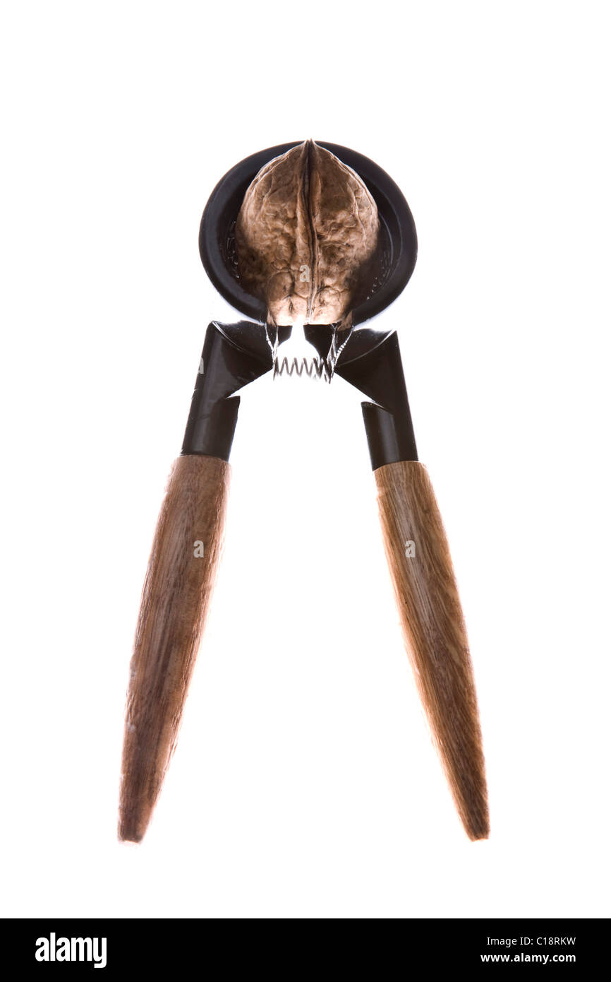 Nut cracker with walnut Stock Photo - Alamy