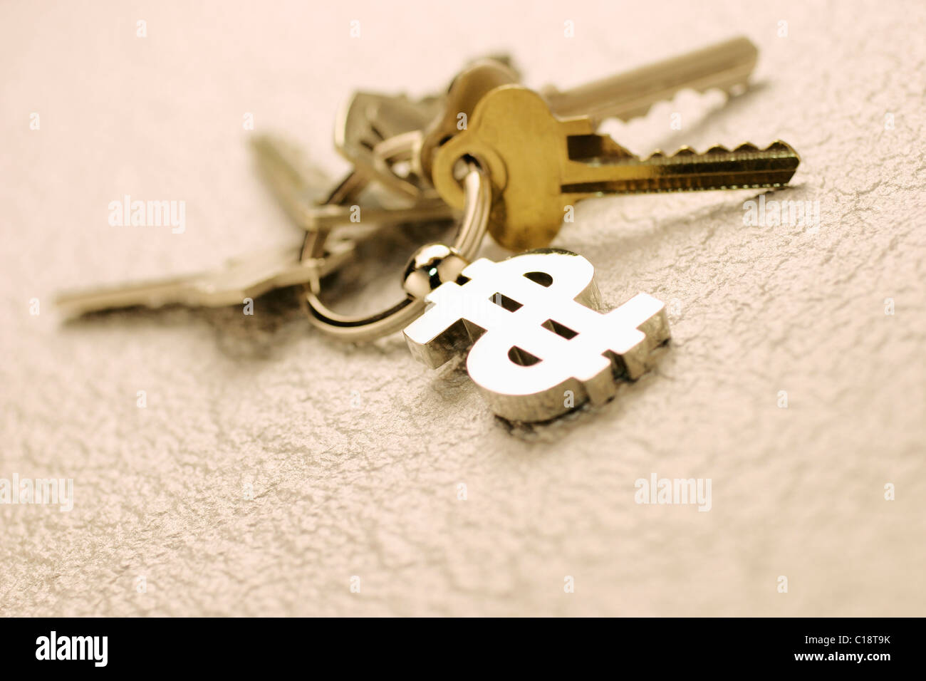 Keyring with dollar sign and keys Stock Photo - Alamy