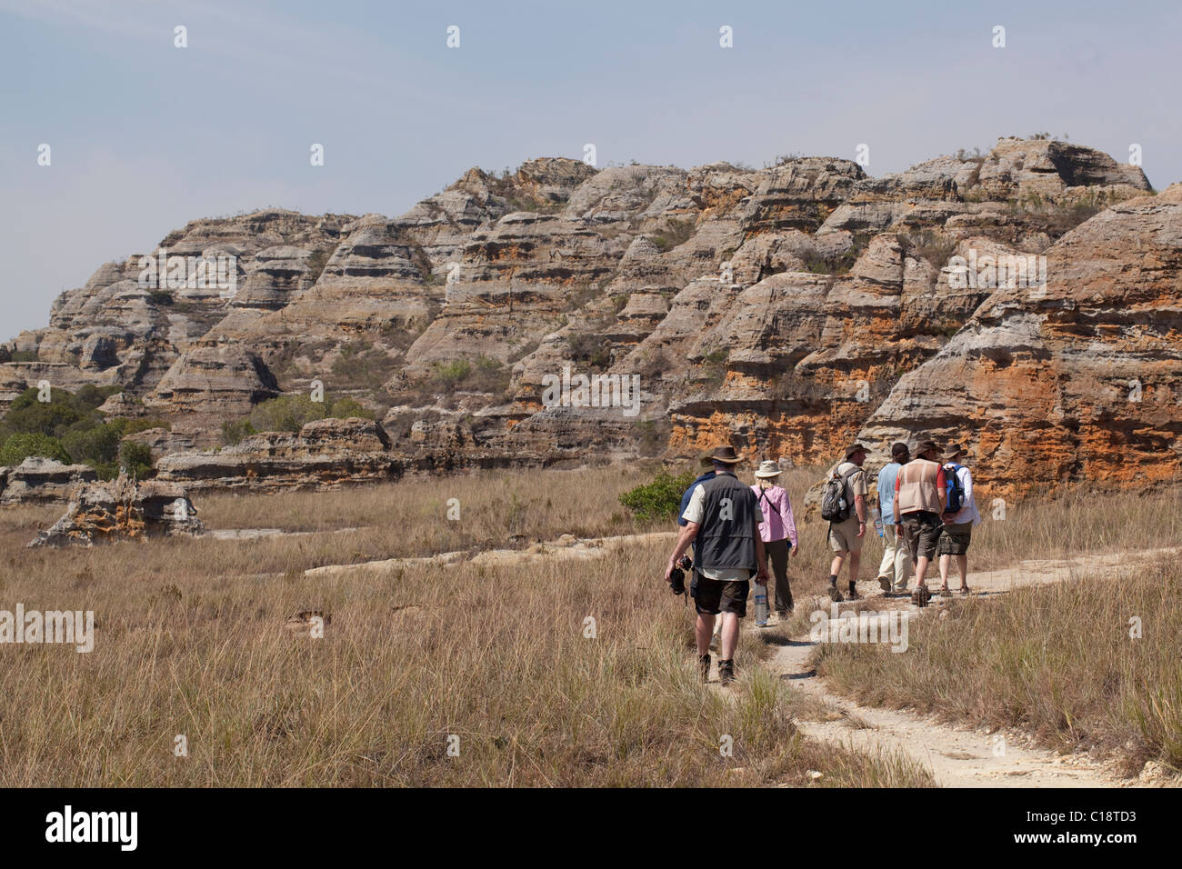 Madagascar national hi-res stock photography and images - Alamy