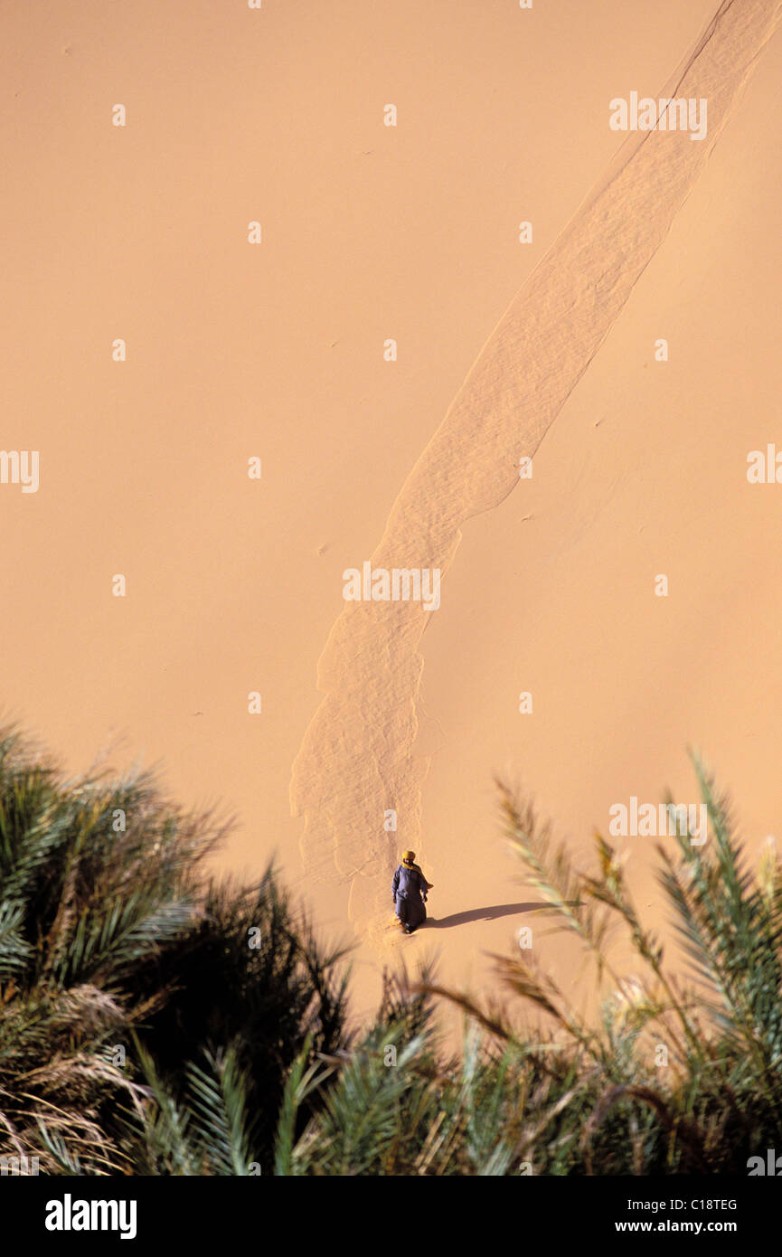Libya, region of the desert, the Fezzan (Sahara), Tuareg getting down a ...