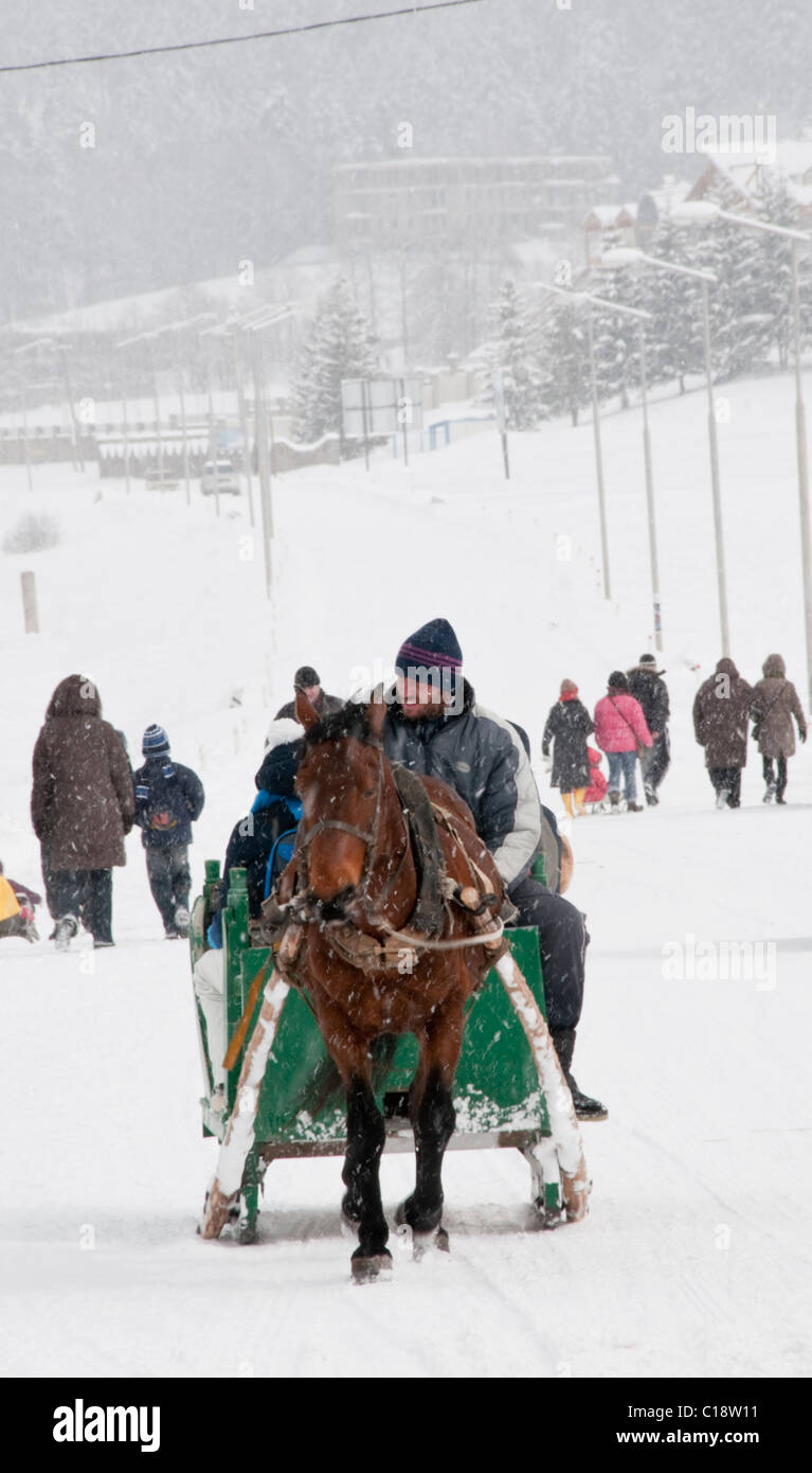 Horses pulling sled hi-res stock photography and images - Alamy
