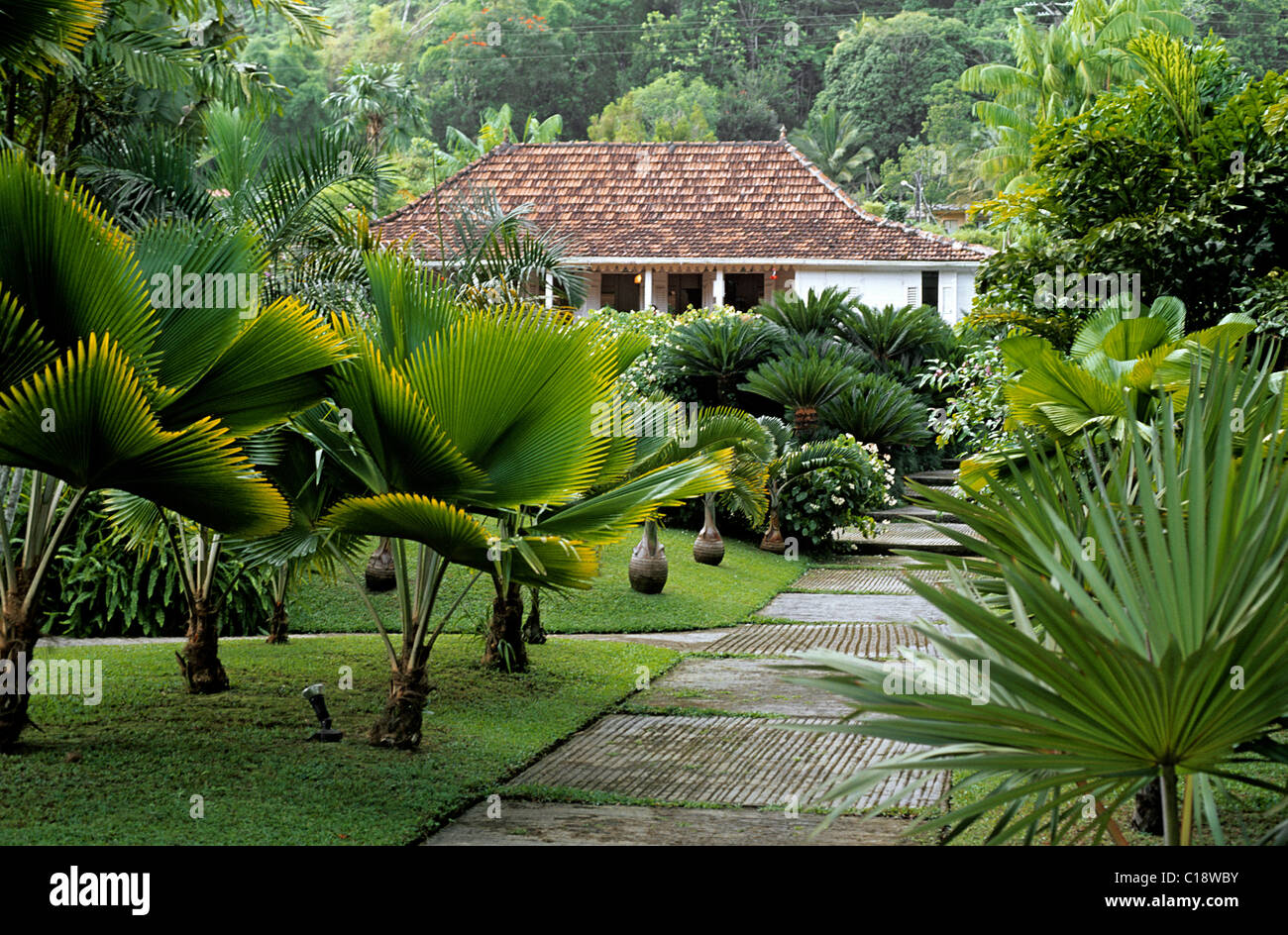 France, Martinique (French West Indies), Jardin de Balata, Botanical ...