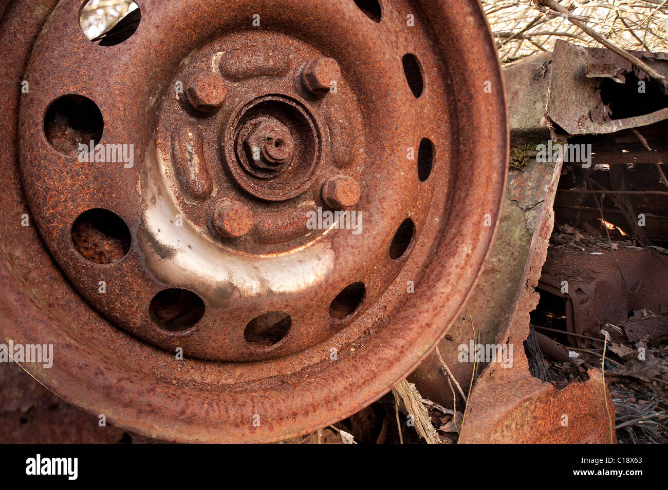 rusty car burnt out wreck hidden by colonizing undergrowth in ...