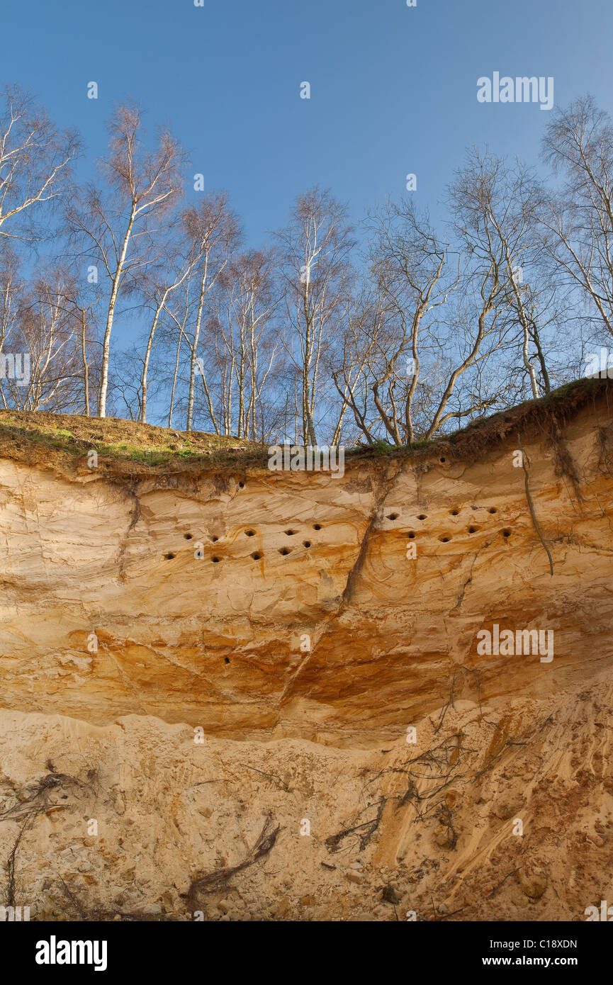 Greensand ridge kent winter hi-res stock photography and images - Alamy