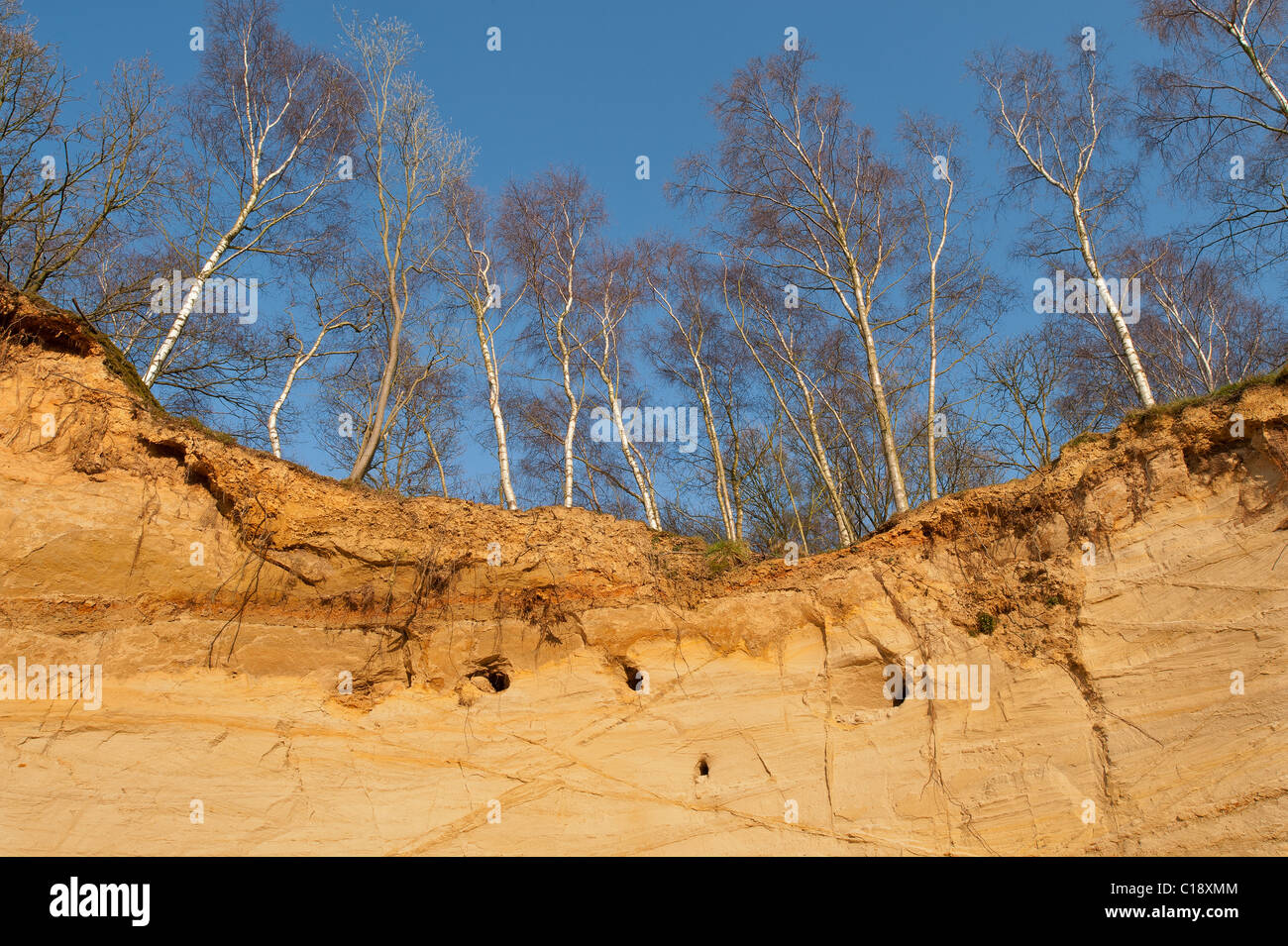 Greensand ridge kent winter hi-res stock photography and images - Alamy