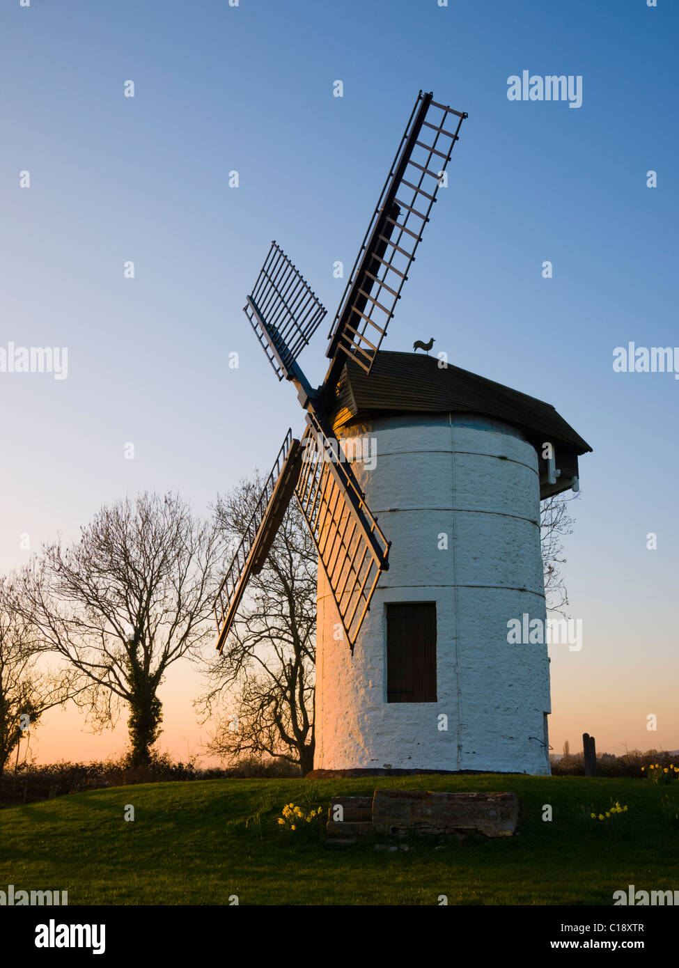 Ashton Windmill at Chapel Allerton, Somerset, England Stock Photo - Alamy
