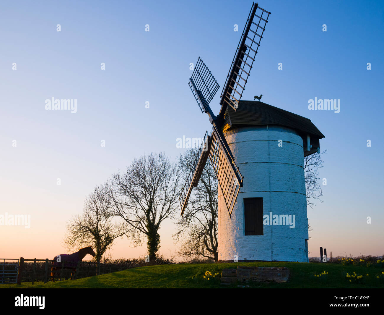 Ashton Windmill at Chapel Allerton, Somerset, England Stock Photo - Alamy