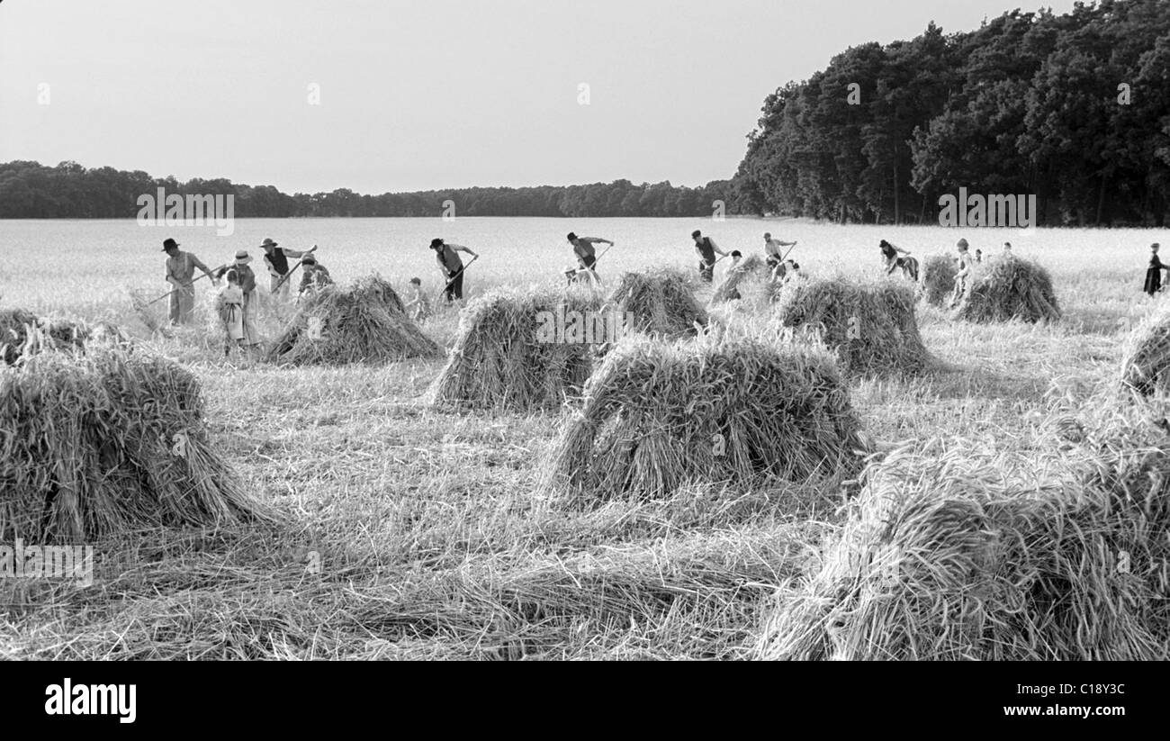 Michael haneke dir hi-res stock photography and images - Alamy