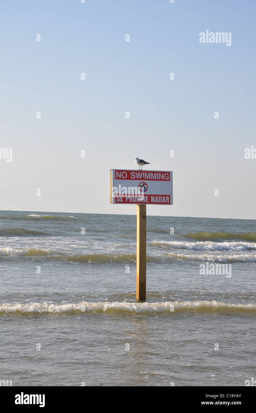 No swimming sign with symbol on a post with a seagull perched on top in ...