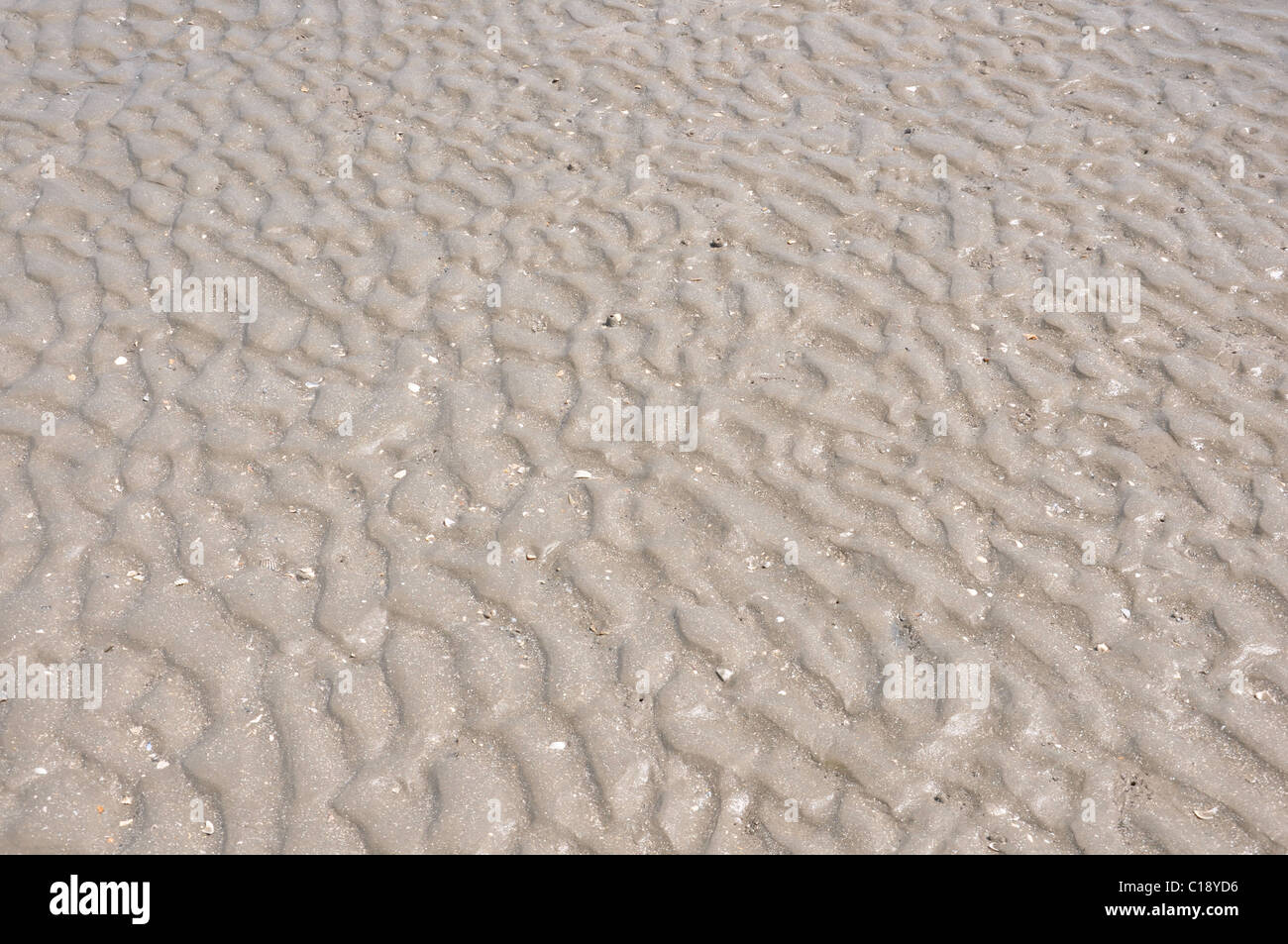 rippling sand on a sunlight beach background Stock Photo - Alamy
