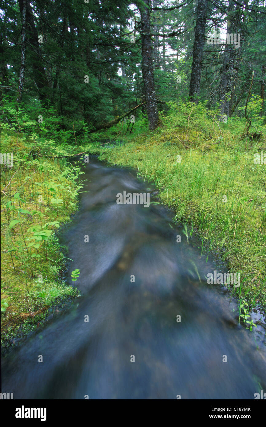 Stream flowing through Girdwood Alaska summer scenic Stock Photo - Alamy