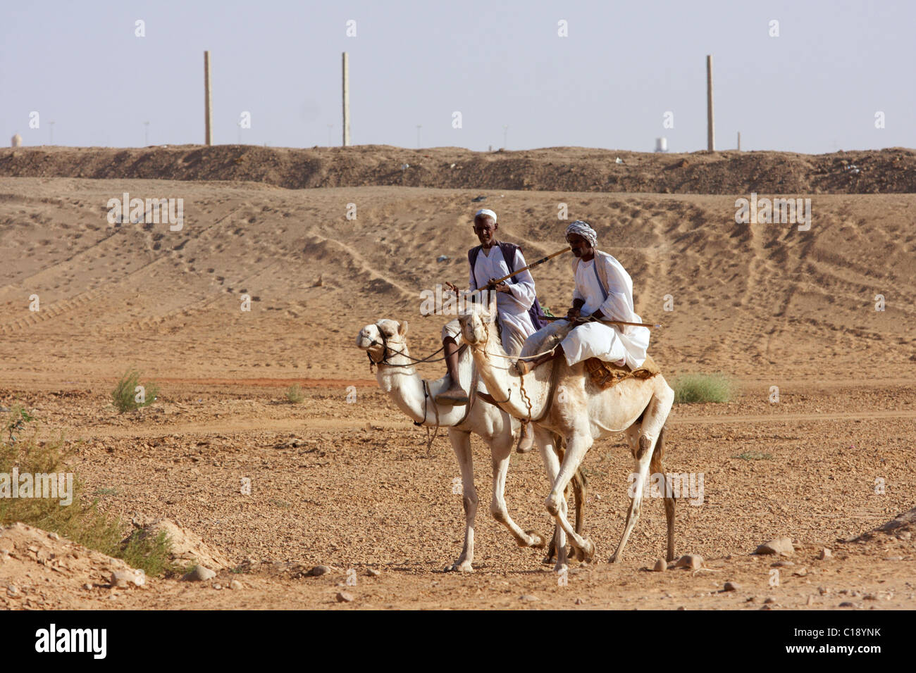 Men Riding Camels High Resolution Stock Photography and Images - Alamy
