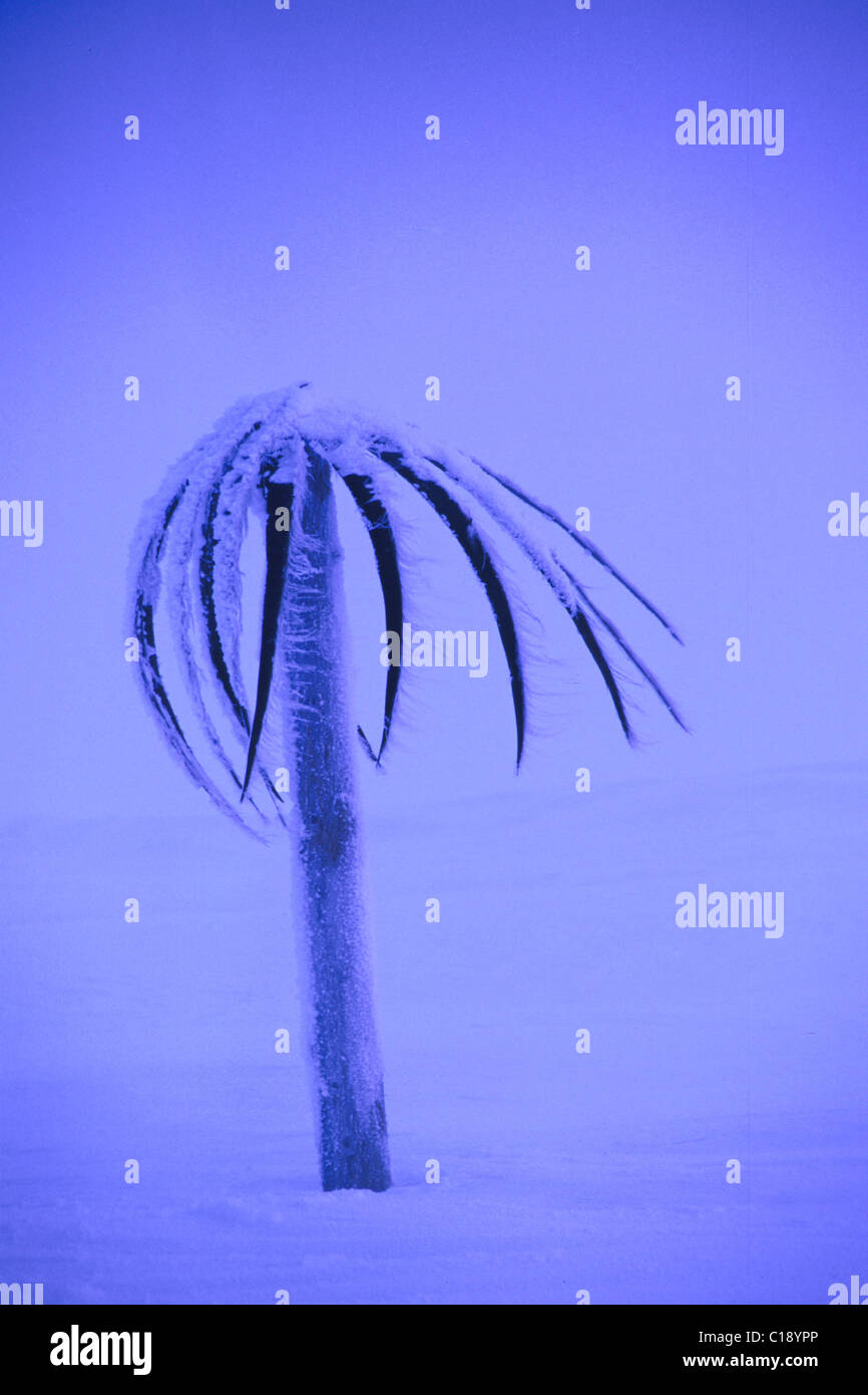 Barrow Alaska Village Building High Resolution Stock Photography and ...