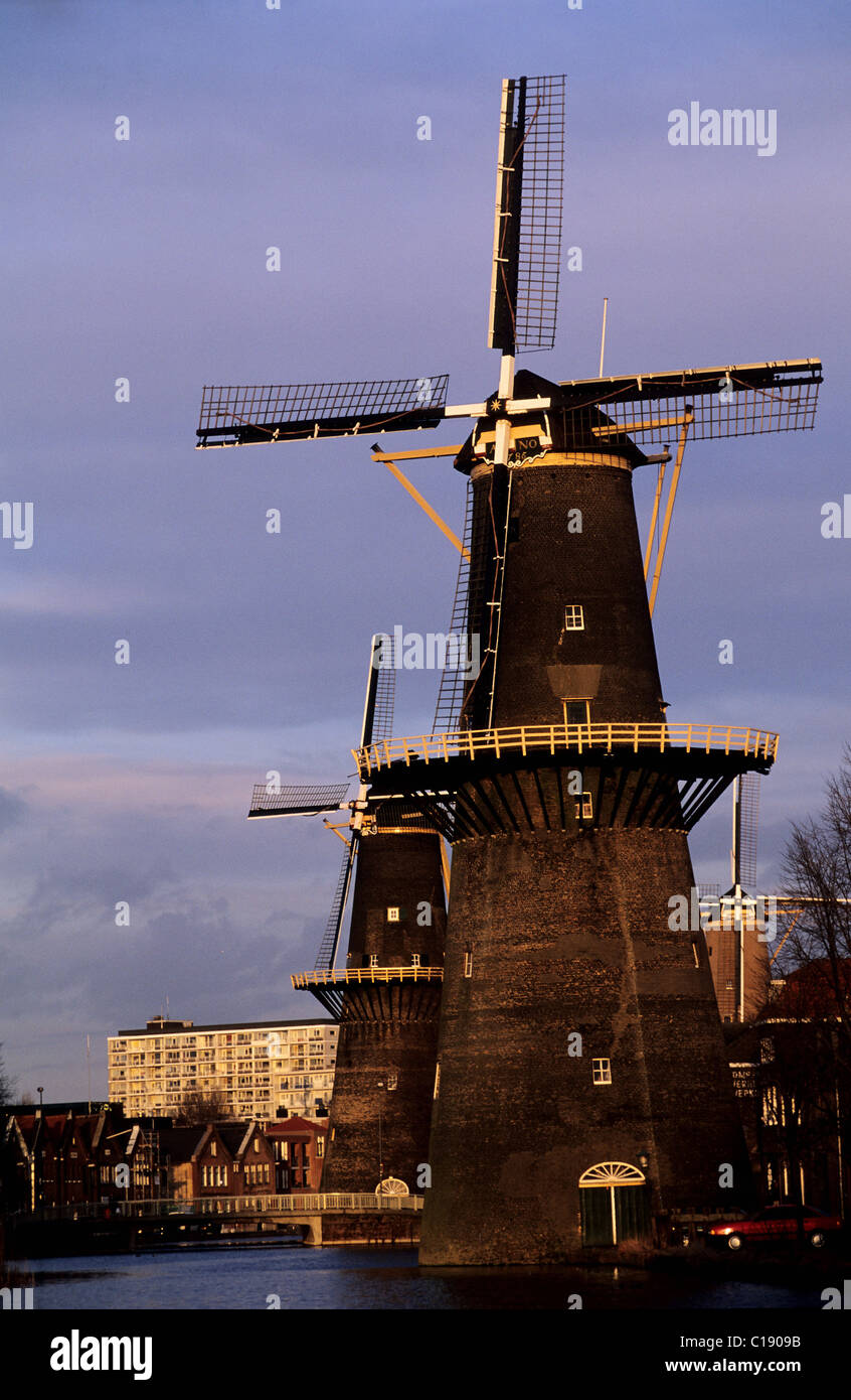 Netherlands, Southern Holland, Rotterdam, the famous Dutch mills Stock ...